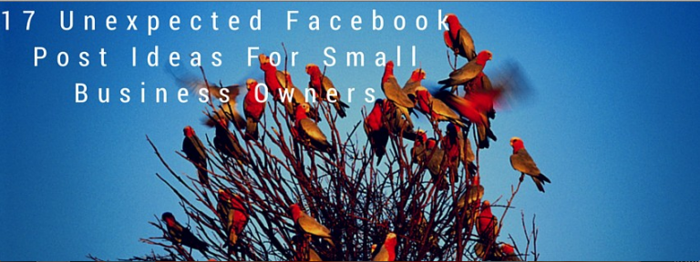 17 Unexpected Facebook Post Ideas For Small Business Owners - Nancy Badillo