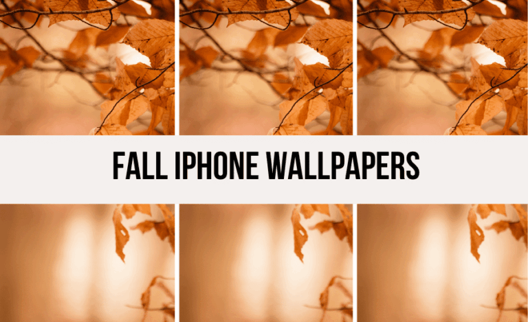 Fall iPhone Wallpapers - 20 Cute Fall iPhone Background Ideas for Free Download - Nancy Badillo