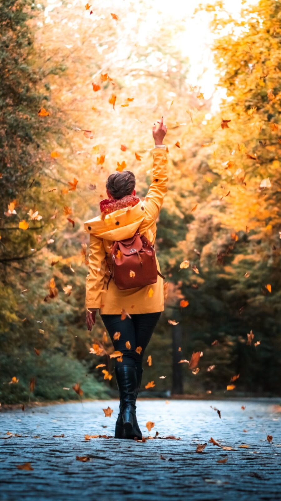 50 Stunning Fall Wallpapers for Your iPhone: Embrace Autumn’s Beauty ...